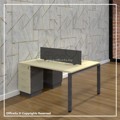BM SERIES 2-SEATERS WORKSTATION : WS-BM2